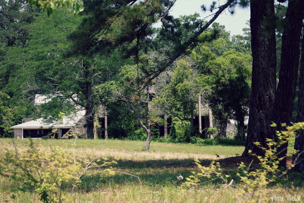 The Warren Mansion: An Artistic Home Unlike any Other on the Shore ...