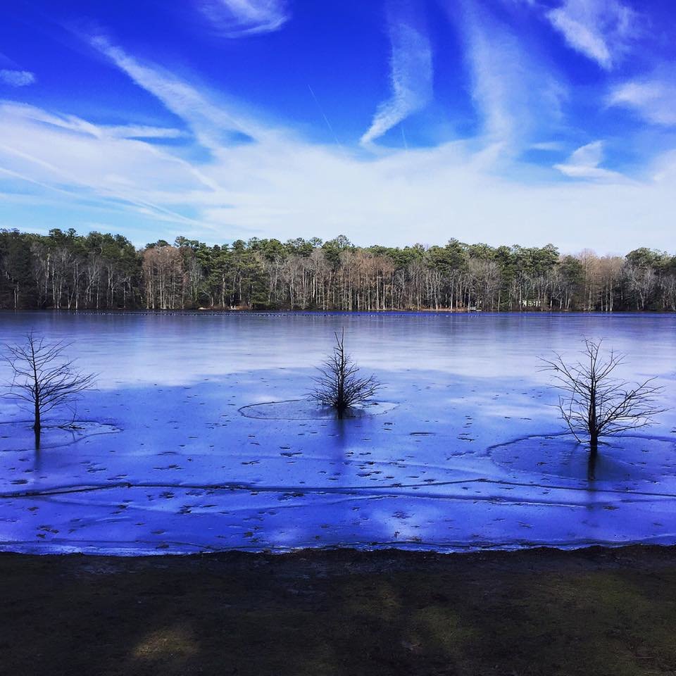 Explore the Shore: Delmarva Hiking Trails | Shorebread