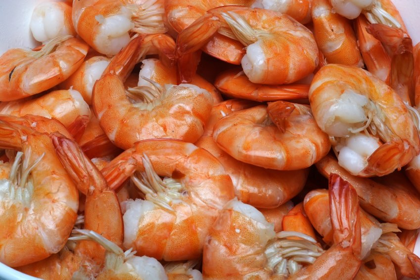 Local Happenings: Crawfish Boil and Muskrat Festival, Taste & Learn ...