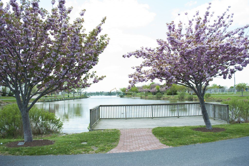 Spring on Delmarva: Top 8 Things We are Looking Forward to this Spring ...