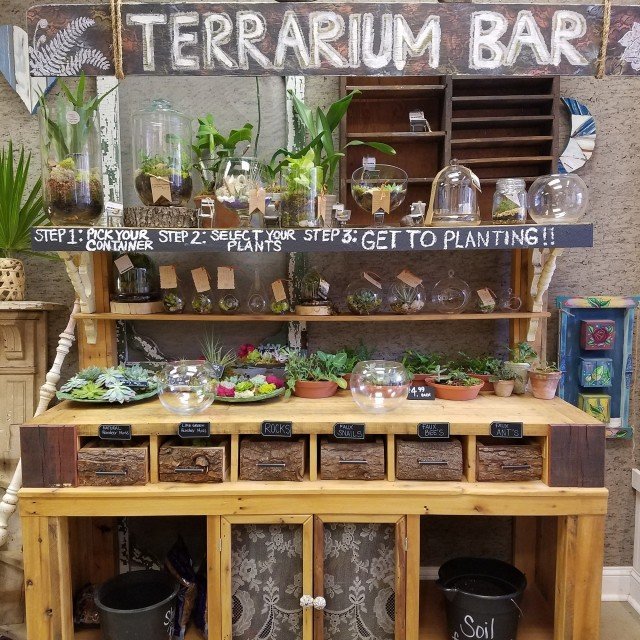 Trying Out The Terrarium Bar at Bleached Butterfly | Shorebread