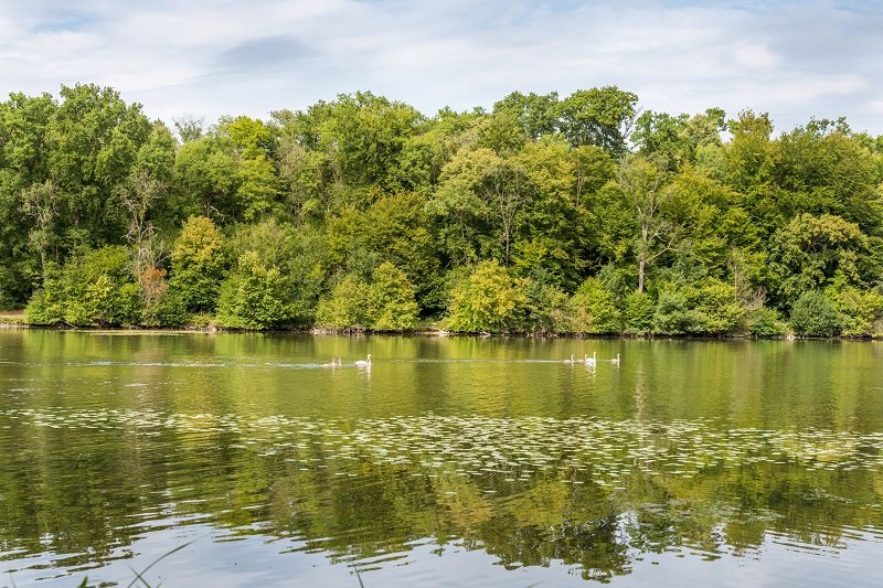 Delaware State Park Passes | ShoreBread Magazine