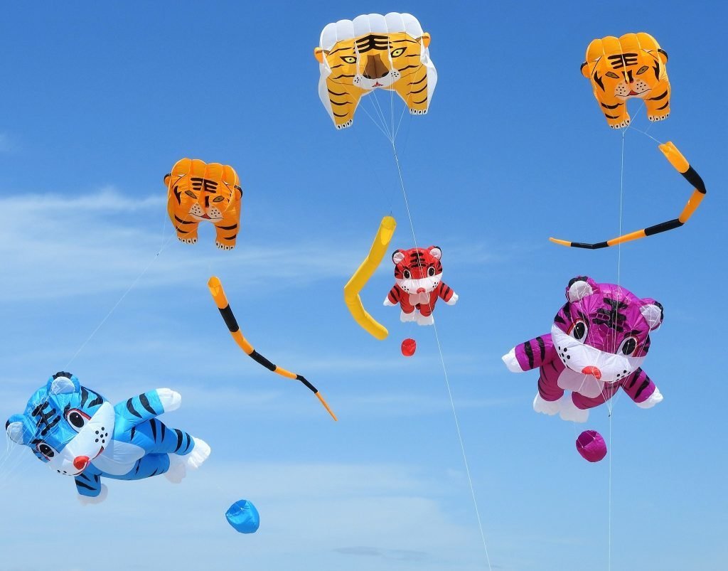 Soar Through the Sky at the Sunfest Kite Festival! | Shorebread