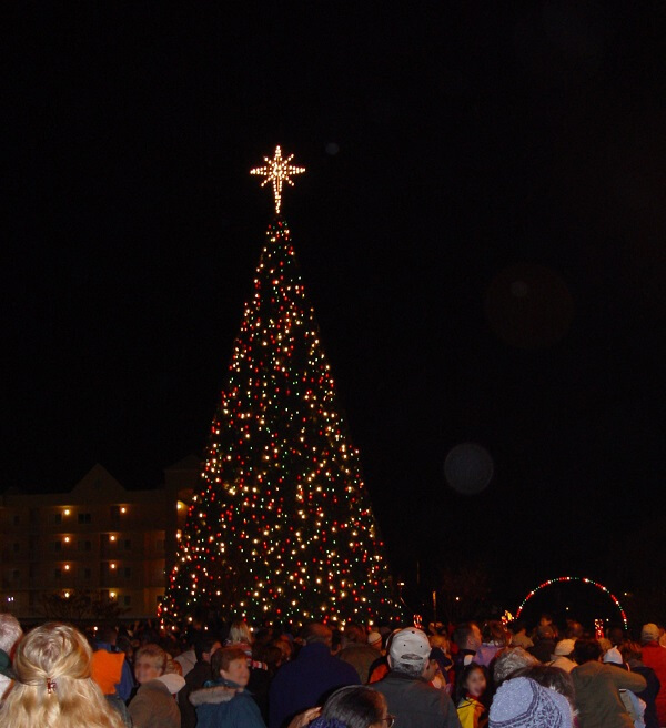 Winterfest of Lights in OCMD Updates | Shorebread